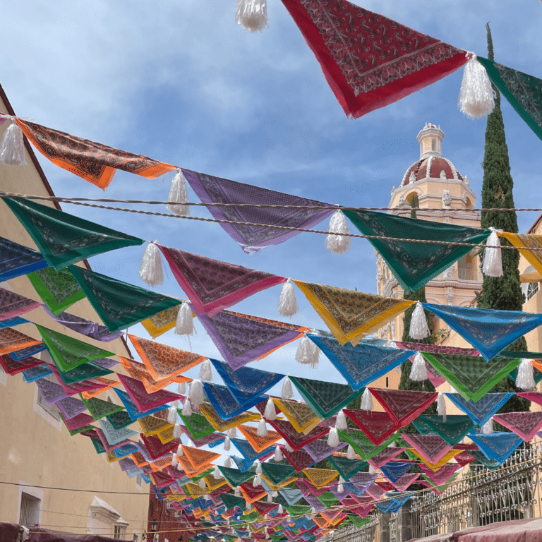 Street flags - Media Associates International